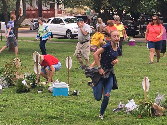 Bring One, Take One plant exchange coming up | News, Sports, Jobs ...